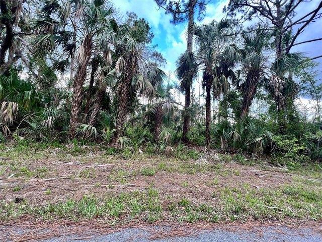 13475 Ketridge Ave, Port Charlotte, FL 33953