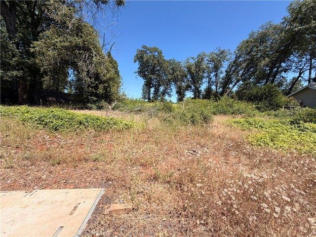 13480 Athens Way, Magalia, CA 95954