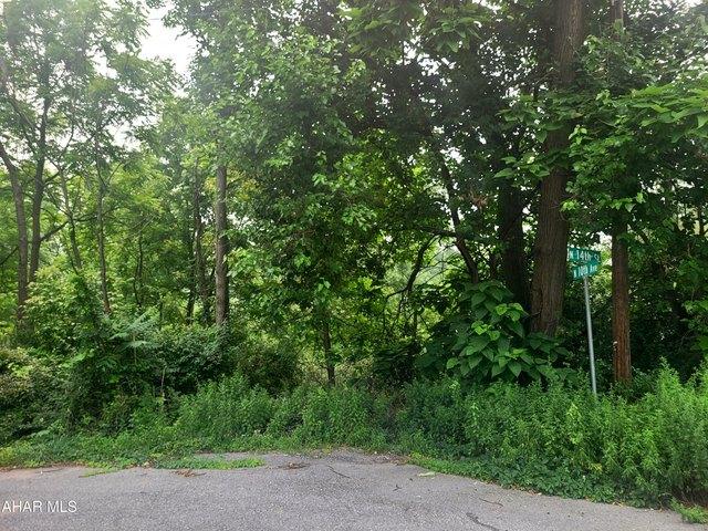 1348 N 10th Ave, Altoona, PA 16601