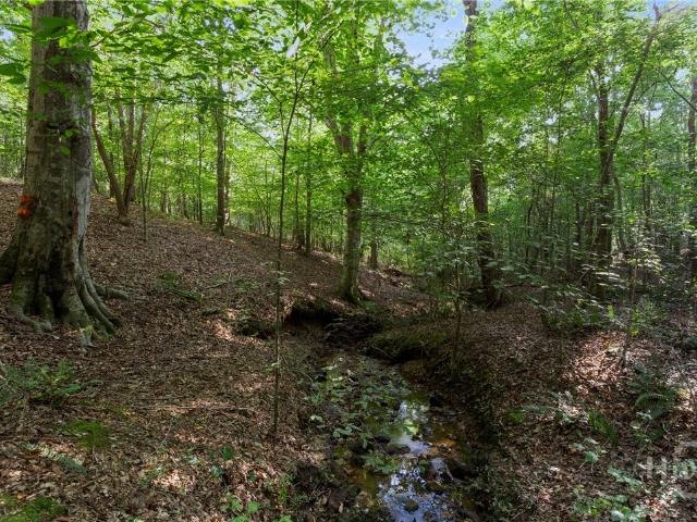 1348 Barwick Hill Road