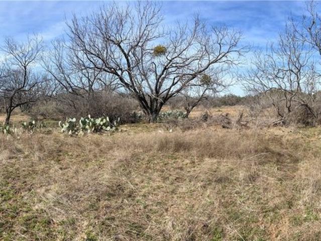 1349 County Road 152, Brownwood, TX 76801