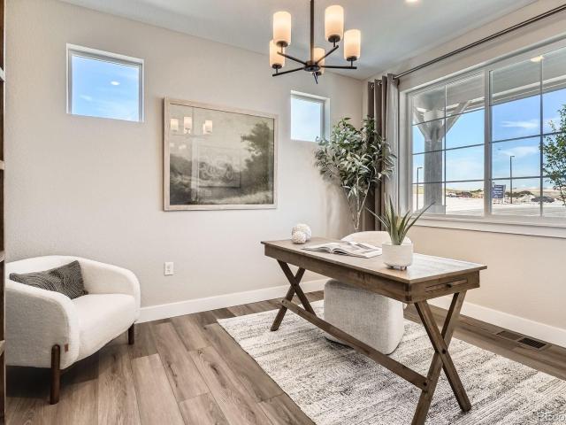 13401 Finnhorse Street