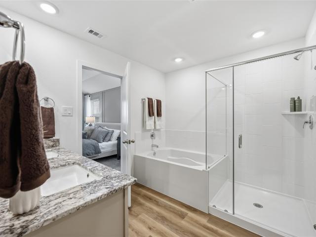 13404 Verbena Vista Trail