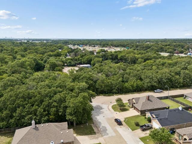 13405 Baldcypress Drive