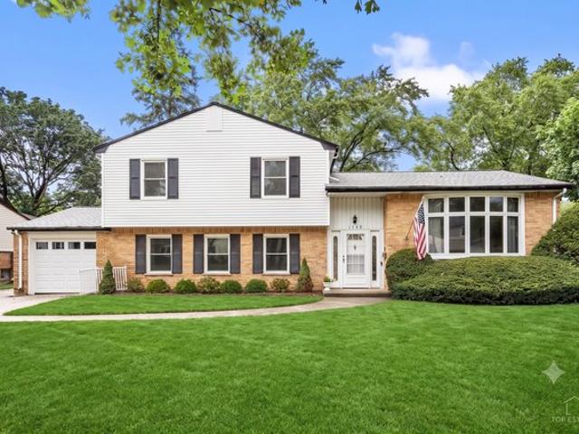 1340 E Rosita Dr, Palatine, IL 60074