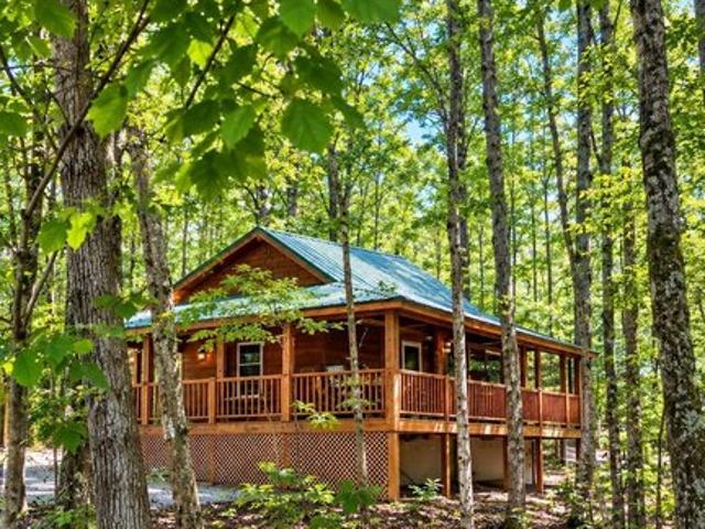 1341 Corey Ct, Bellaire, MI 49615