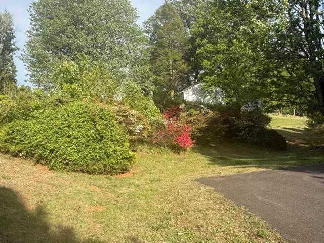13420 Chestnut Fork Road
