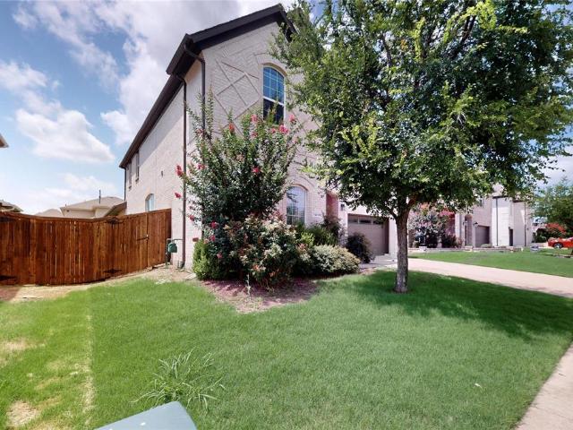 13429 Tabasco Cat Drive