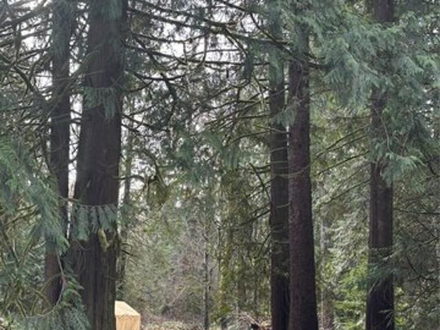 1342 th St NE, Lake Stevens, WA 98258