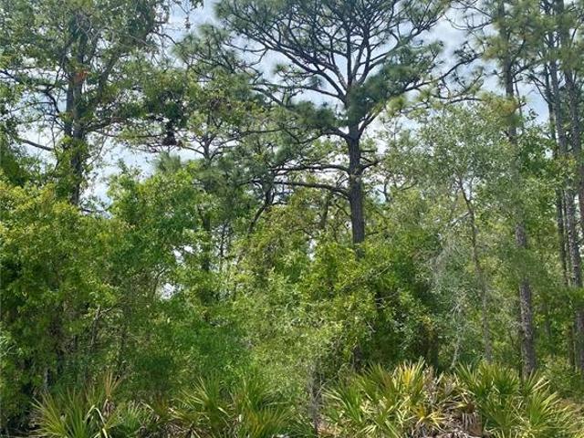 13439 Cormorant Rd, Brooksville, FL 34614 | MLS #W7875 | Compass