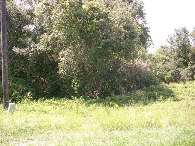 1343 Congo Ct, Kissimmee, FL 34759 | MLS #S5135 | Compass