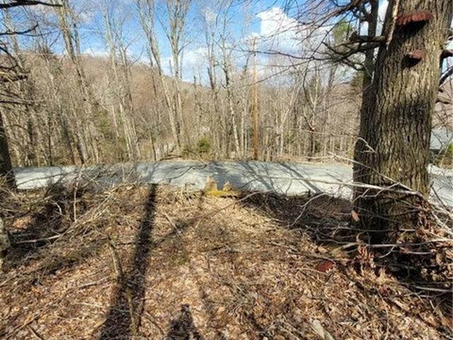 134 136 Wild Daisy Ln, Beech Mountain, NC 28604