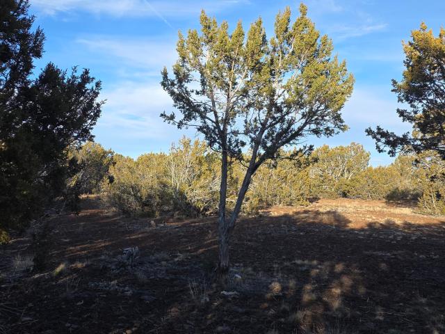 134 County Road 3148