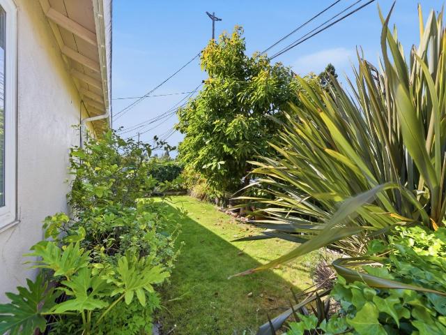 134 Bonita Avenue