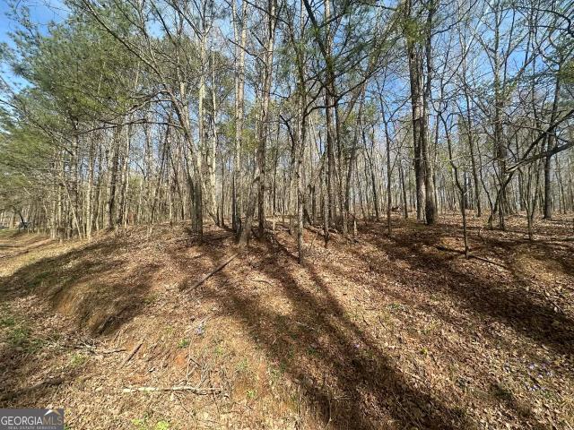 134 Bankston Road