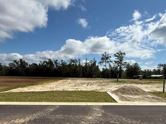 134 Kiera Ct Lot 24, Wewahitchka, FL 32465