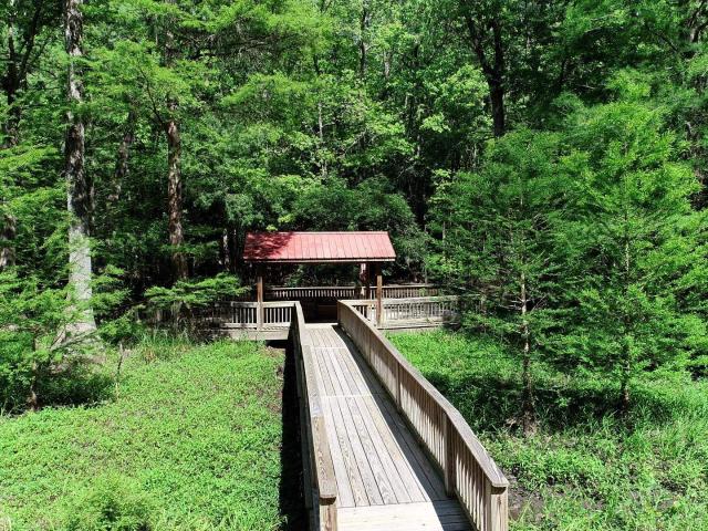 134 Lookout Dr
