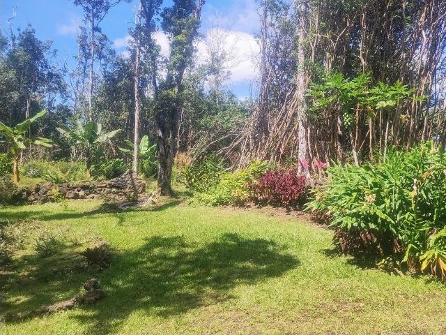 134 Molokai St, Pahoa, HI 96778 | MLS #720471