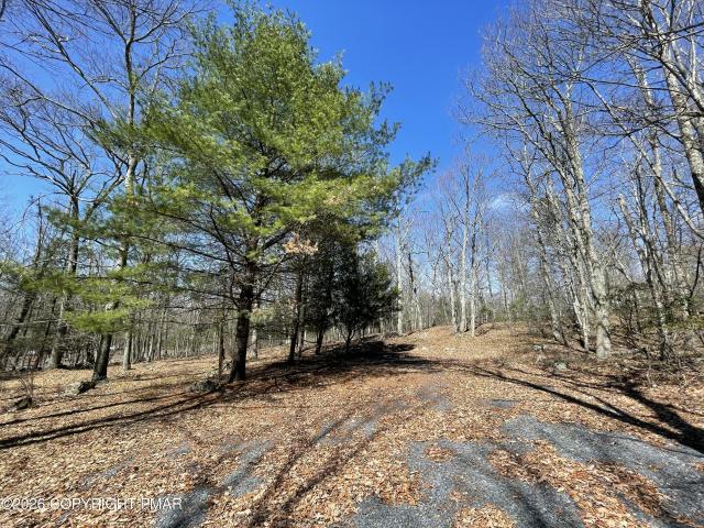 134 Maple Dr, ASPEN CT 808 ADDITIONAL LOT, Cresco, PA 18326 | MLS #PM 138461 | Compass
