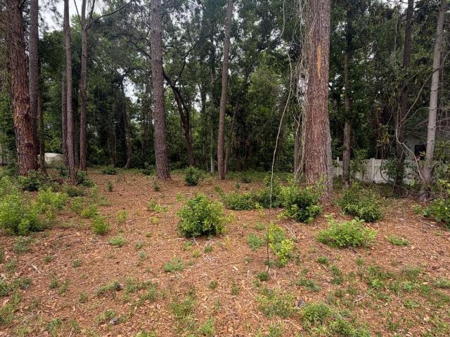 134 Palmera Lane