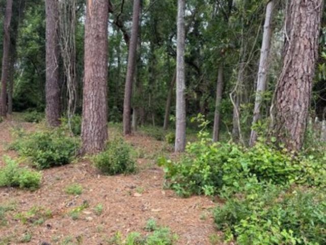 134 Palmera Ln, Brunswick, GA 31525