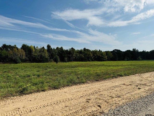134 Private Road 5296, Alba, TX 75410