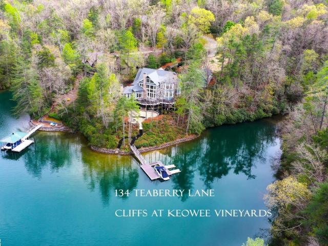 134 Teaberry Ln, Sunset, SC 29685 | MLS #1587