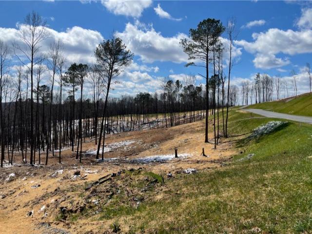 134 Twisted Oak Rd, Talking Rock, GA 30175 | MLS #7515