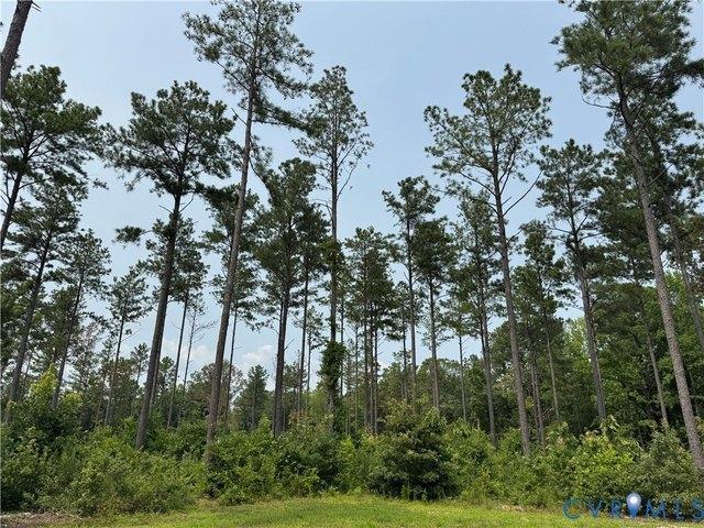 13545 Old Telegraph Rd, Providence Forge, VA 23140