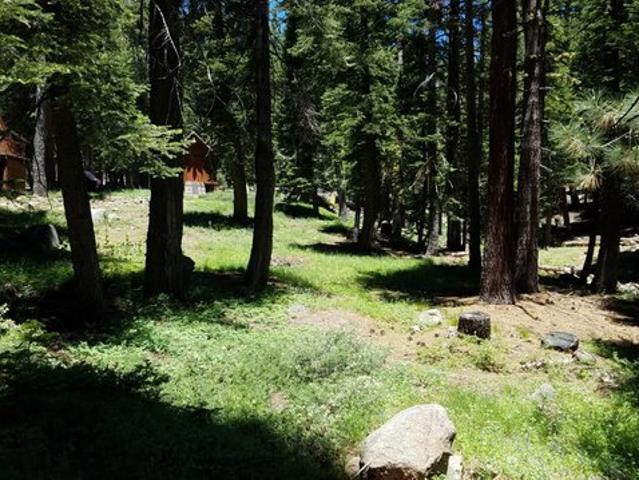 1354 Spring Valley Rd, Tamarack, CA 95223