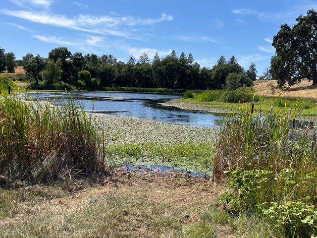 13555 Oakstream Rd, Plymouth, CA 95669