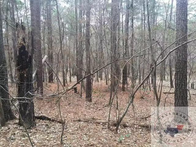 1355 MYRTLE SPRINGS RD, TEXARKANA, TX 75503 Vacant Land For Sa.