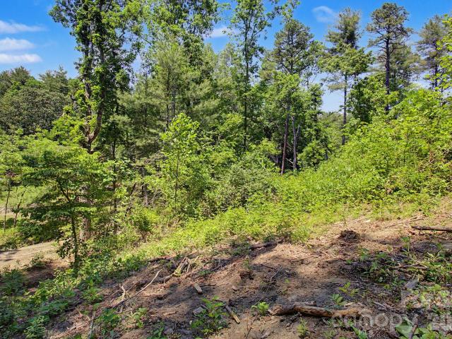 1355 Brookside Camp Road