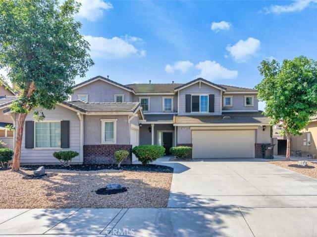 13569 Kiwi