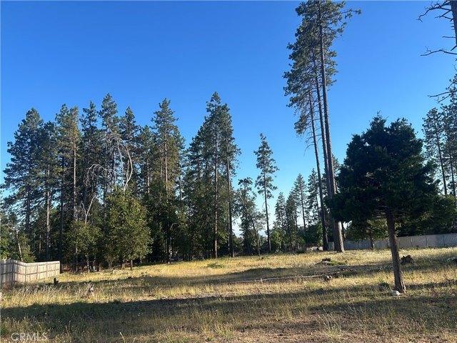 1356 Orput Ln, Paradise, CA 95969
