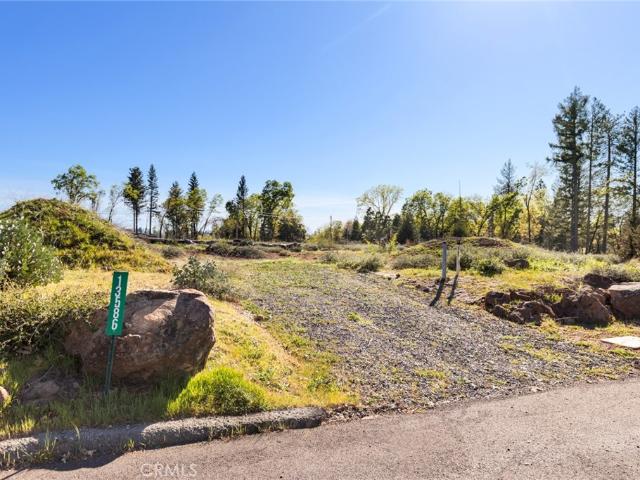 13586 Andover Drive