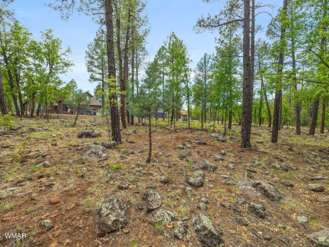 1358 Big Springs Trail