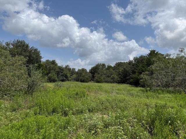 1359 County Road 208