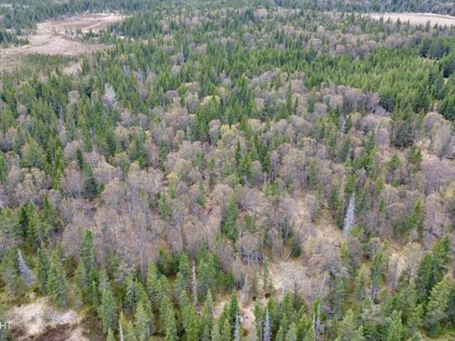 13500 Jackinsky St, Ninilchik, AK 99639