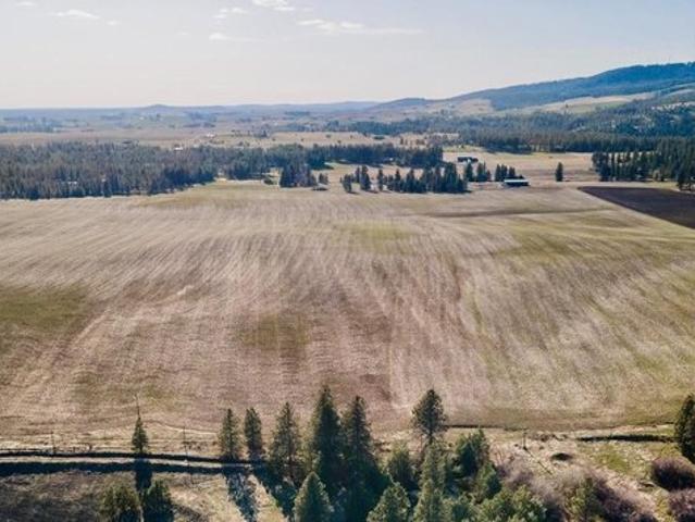 13507 E Gibbs Rd, Mica, WA 99023