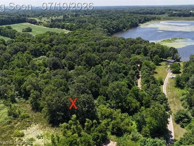 13505 Island Lake Rd, Dexter Township, MI 48118