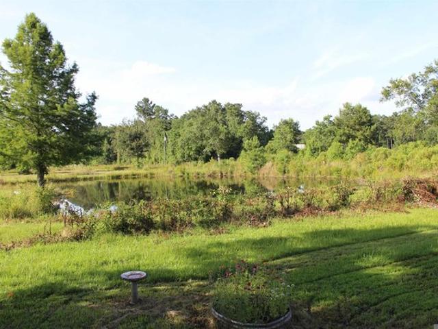 13505 Springfield Rd, Walker, LA 70785