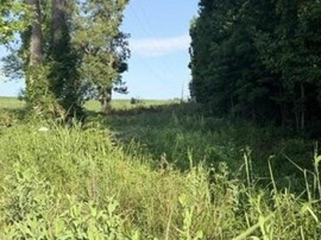 1350 Norwood Mt Zion Rd, Science Hill, KY 42553
