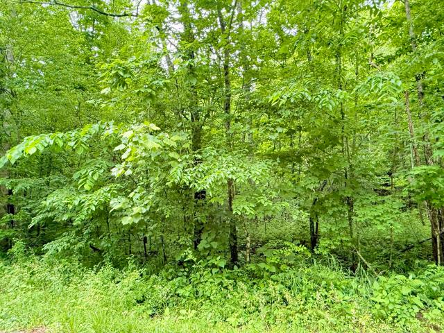 1350 Owens Branch Road