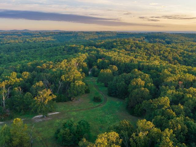 1350 County Road 317