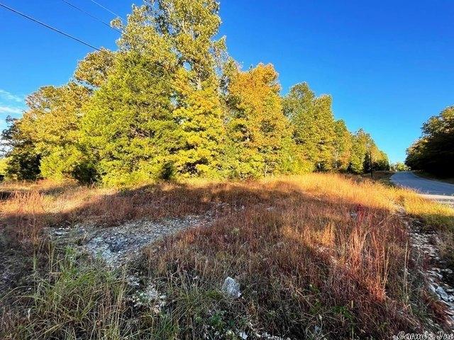 1350 Pioneer Lake Rd, Horseshoe Bend, AR 72512