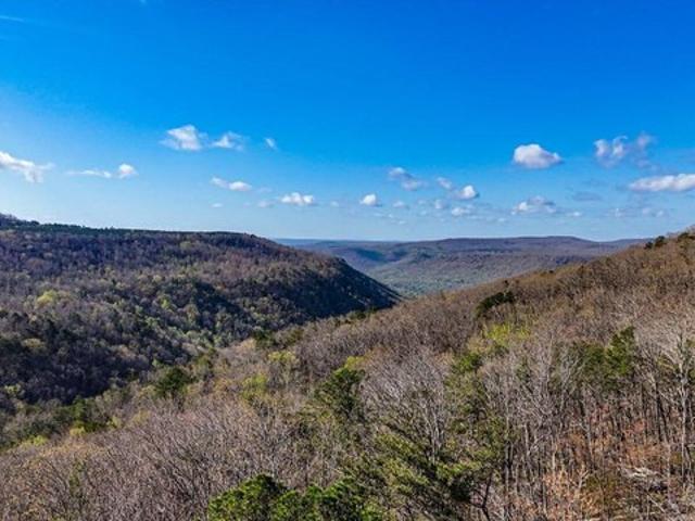 1350 Split Rail Way, Guild, TN 37340
