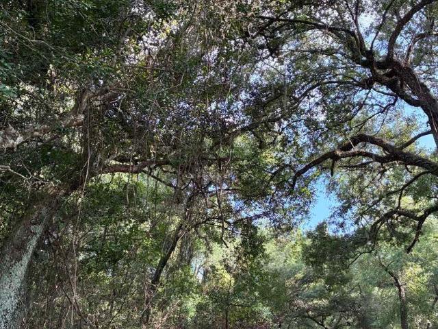 13511 Douglas Lane
