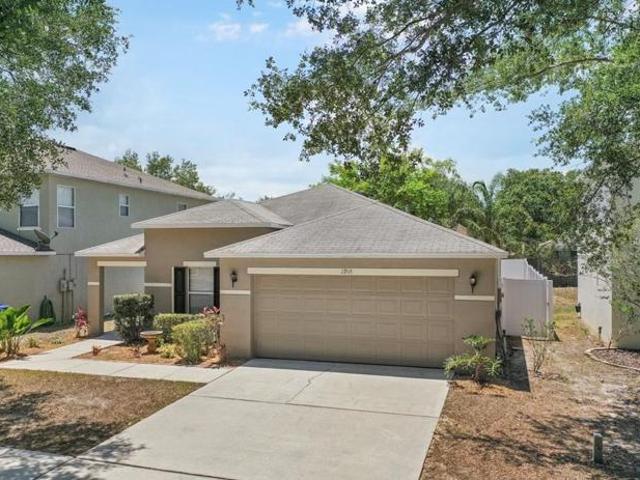 13515 Blue Sunfish Ct, Riverview, FL 33569