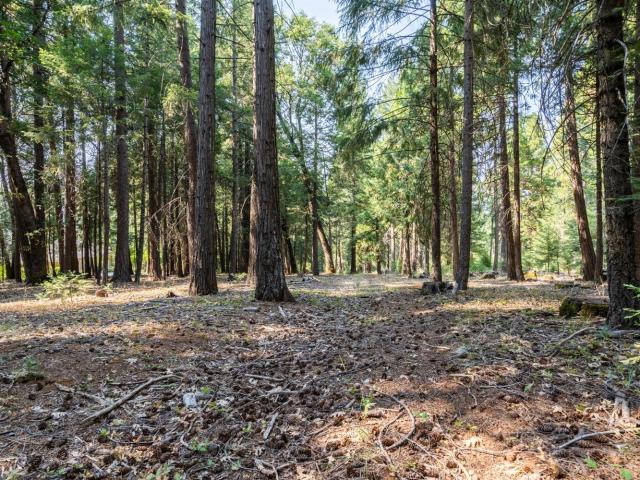 13518 Quaker Hill Cross Rd, Nevada City, CA 95959 | MLS #226083
